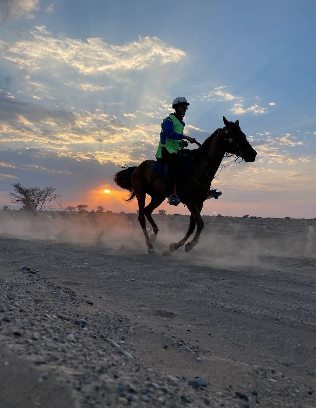 Wadi Adventure - Trip - Horse Riding