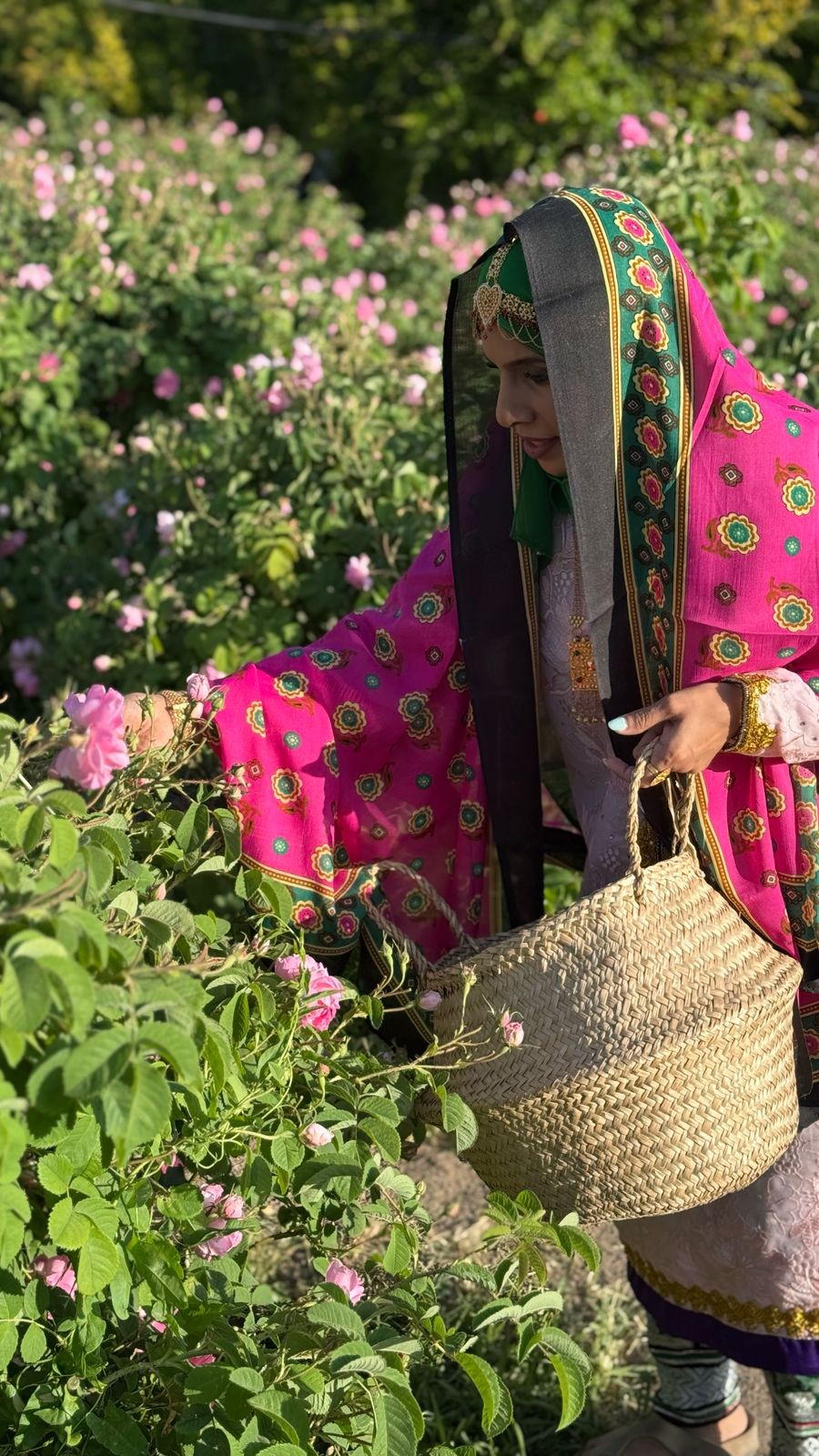 Wadi Adventure - Trip - Rose Harvesting Season